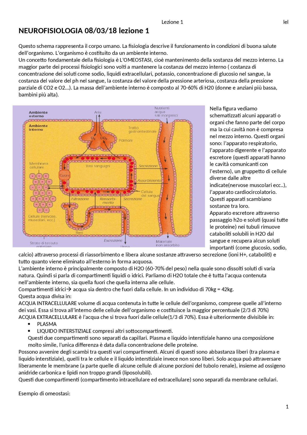 Trasporti Di Membrana E Meccanismi Di Diffusione Docsity