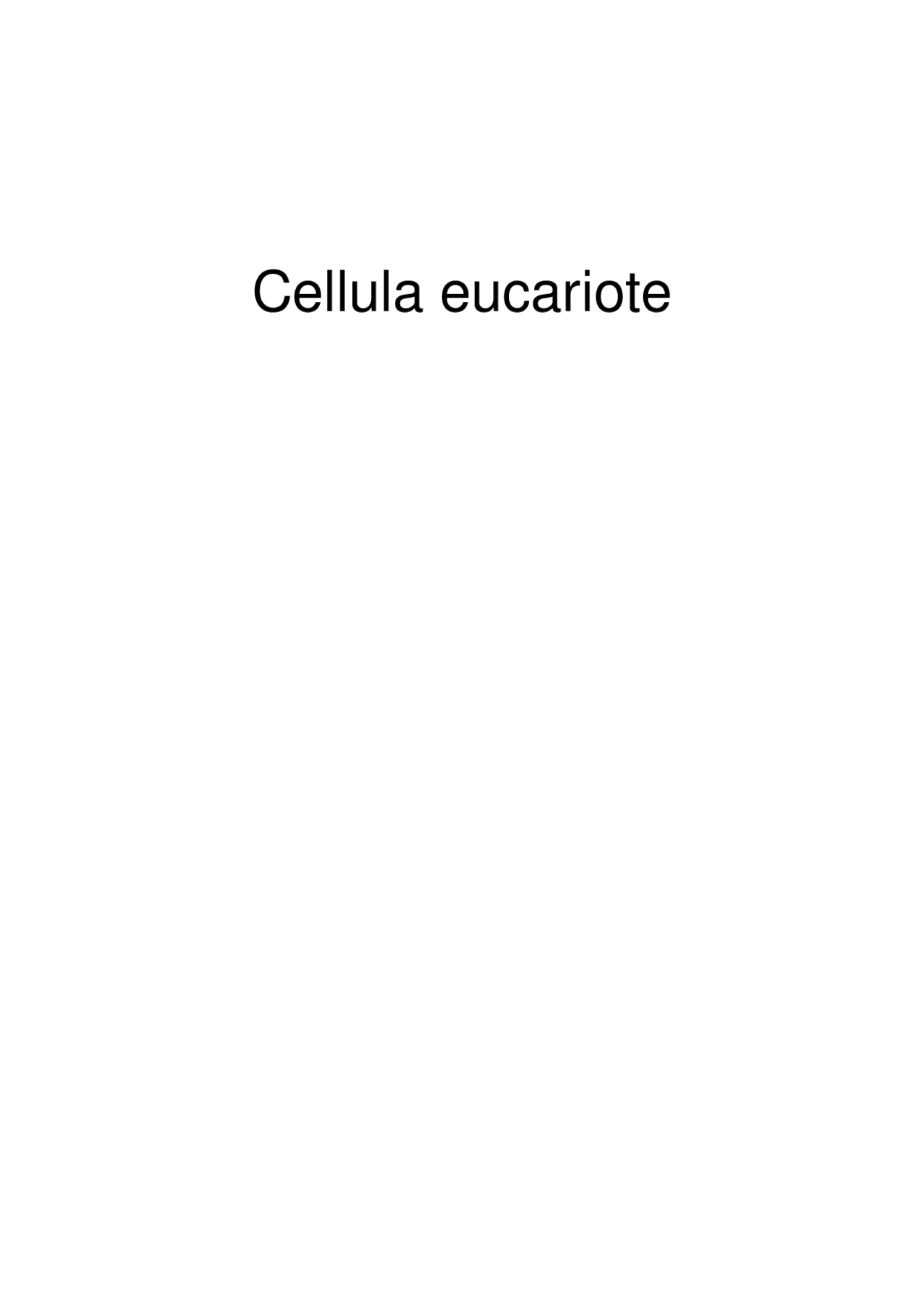 Cellula eucariote - struttura completa - Docsity