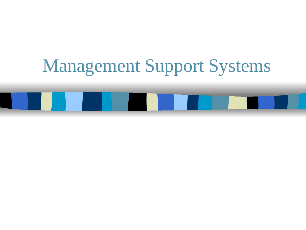 Management Information System Docsity