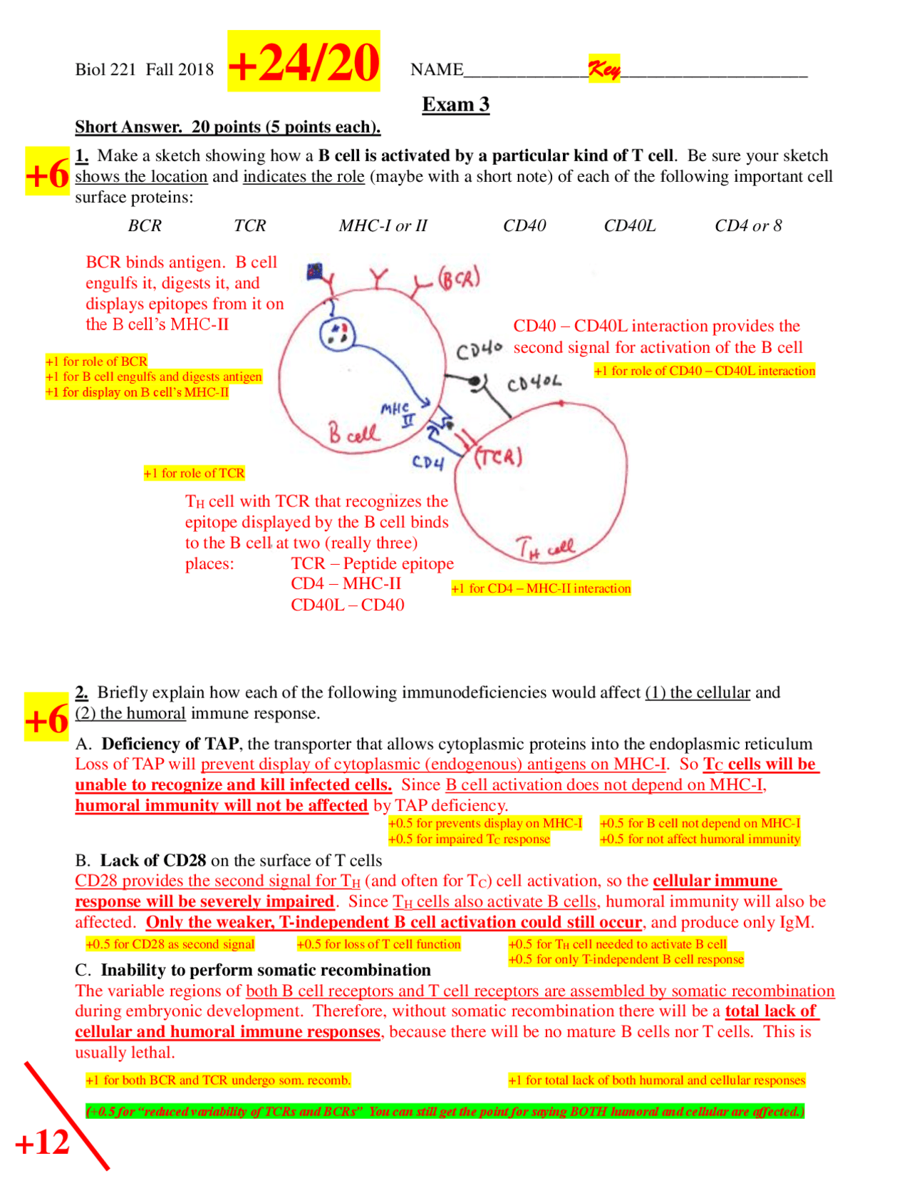 44 Solved Mcqs On Abbreviation Of Cells Exam 2 Biol 22100 Docsity