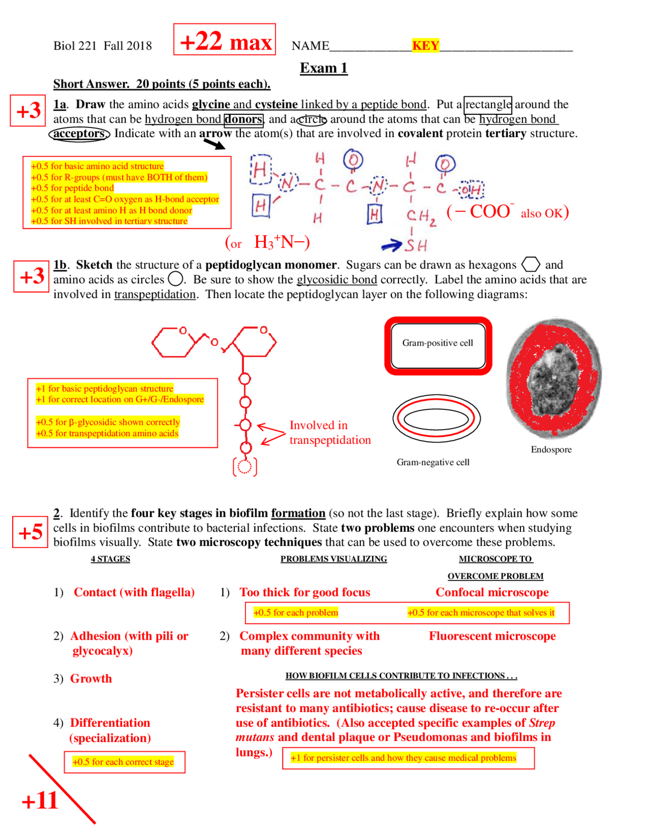 Exam 1 Answer Key for Introduction to Microbiology | BIOL 22100 | Exams ...