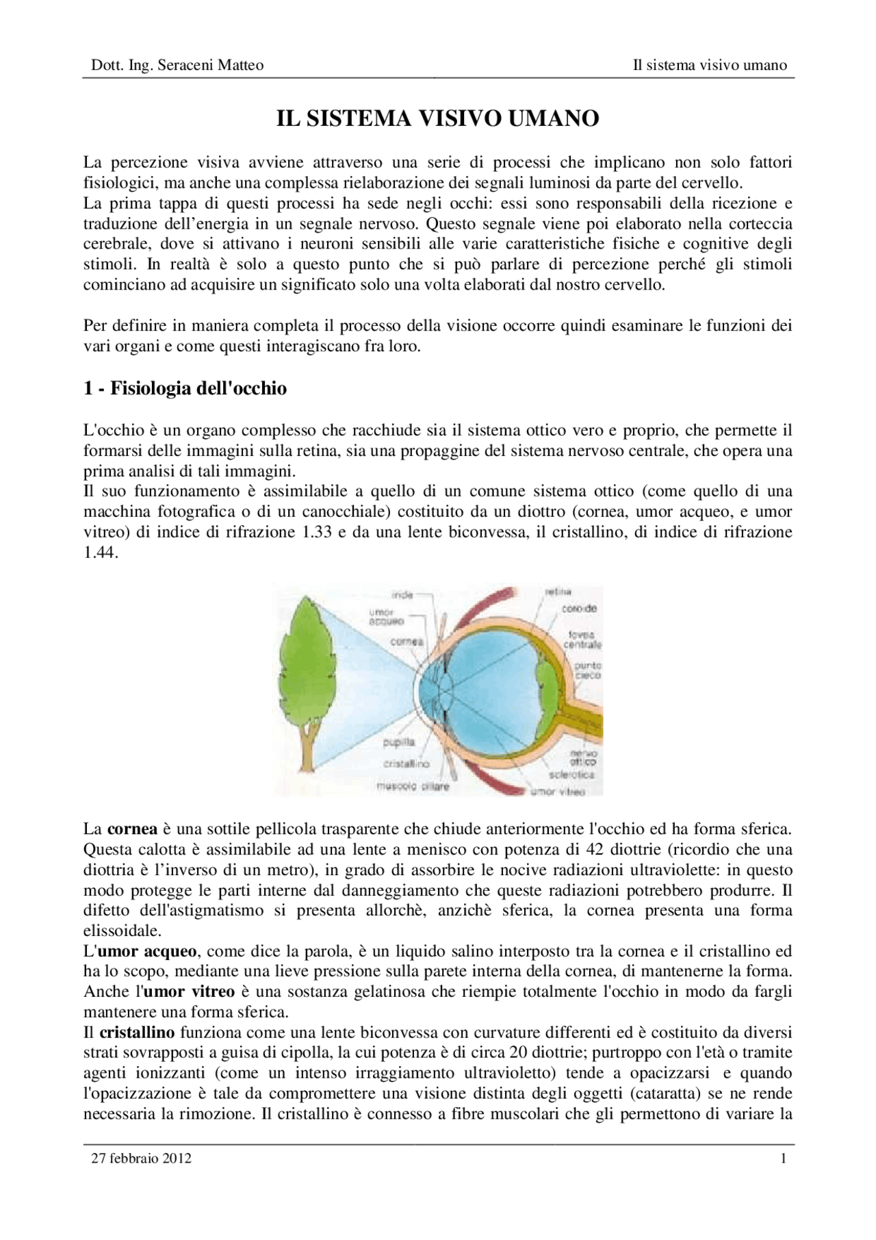 Il sistema visivo 2 - La percezione visiva avviene attraverso una serie ...