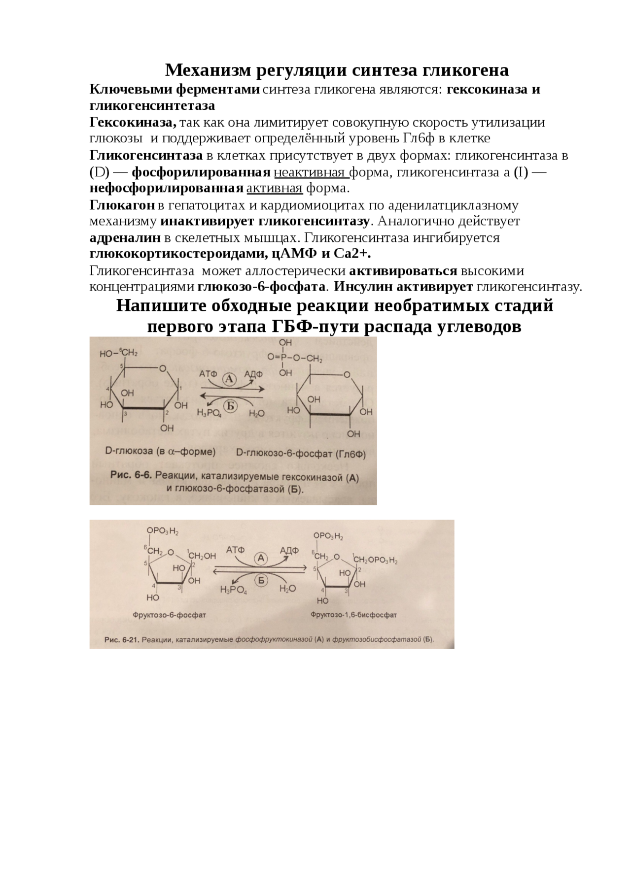Контрольные вопросы по биохимии Docsity