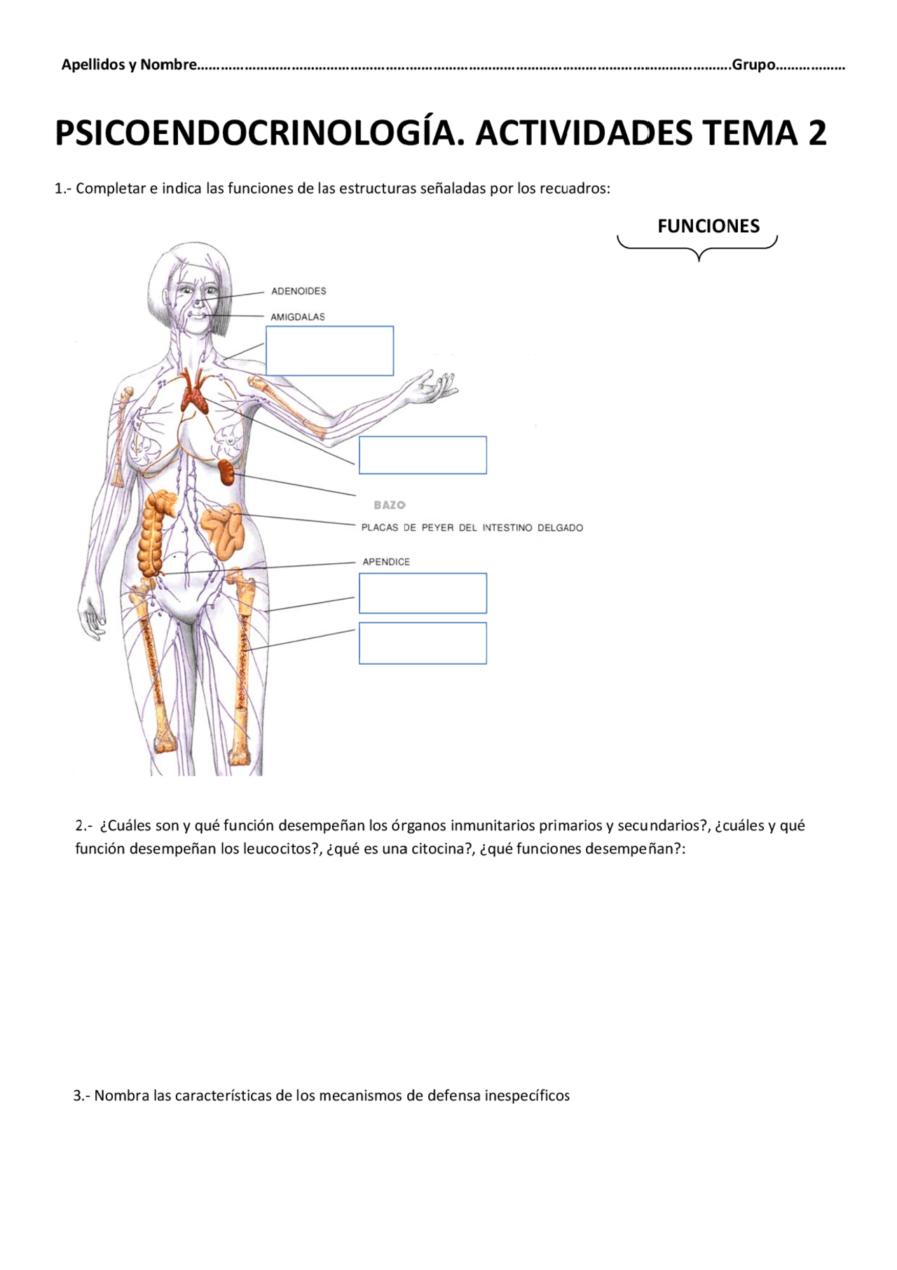 Actividad Psicoendocrinología Ejercicios De Psicología Médica Docsity