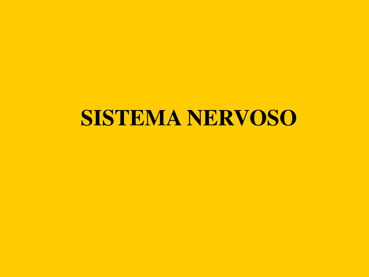 Anatomia Comparata Il Sistema Nervoso Docsity