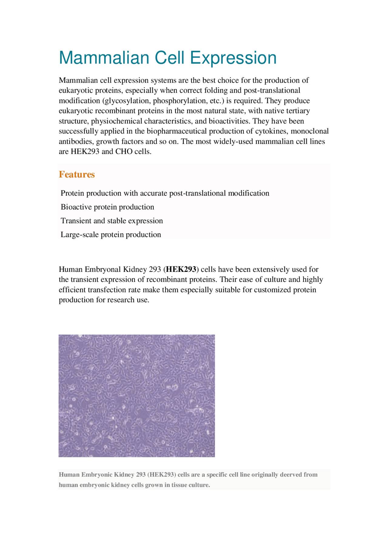 An Introduction For Mammalian Cell Expression - Docsity