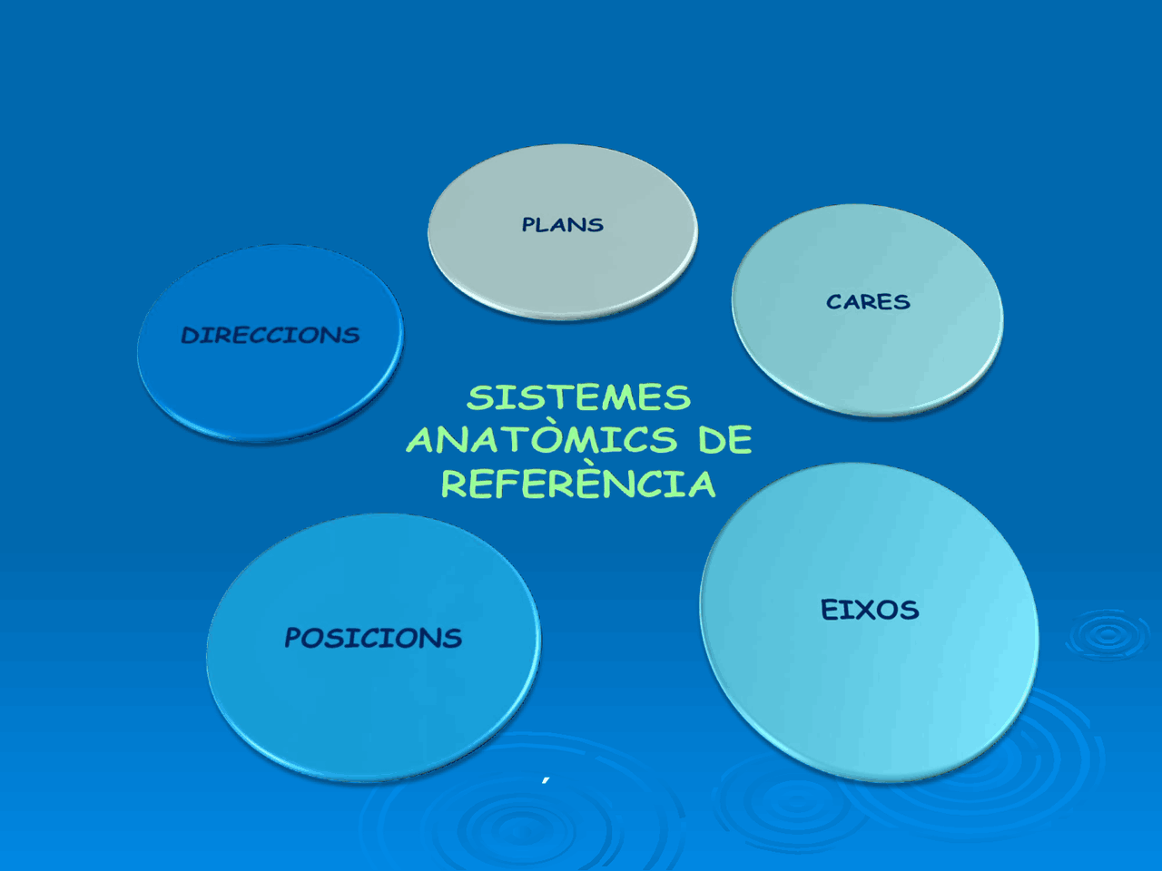 Es un documento donde se explican las funciones básicas del cuerpo ...