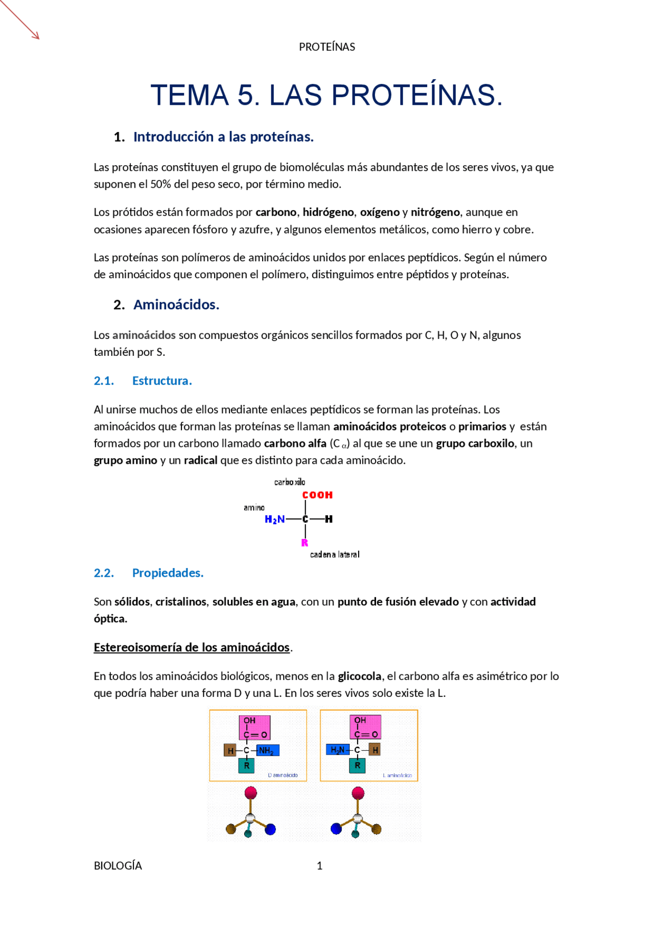 Tema 5 ProteÍnas Apuntes De Biología Docsity