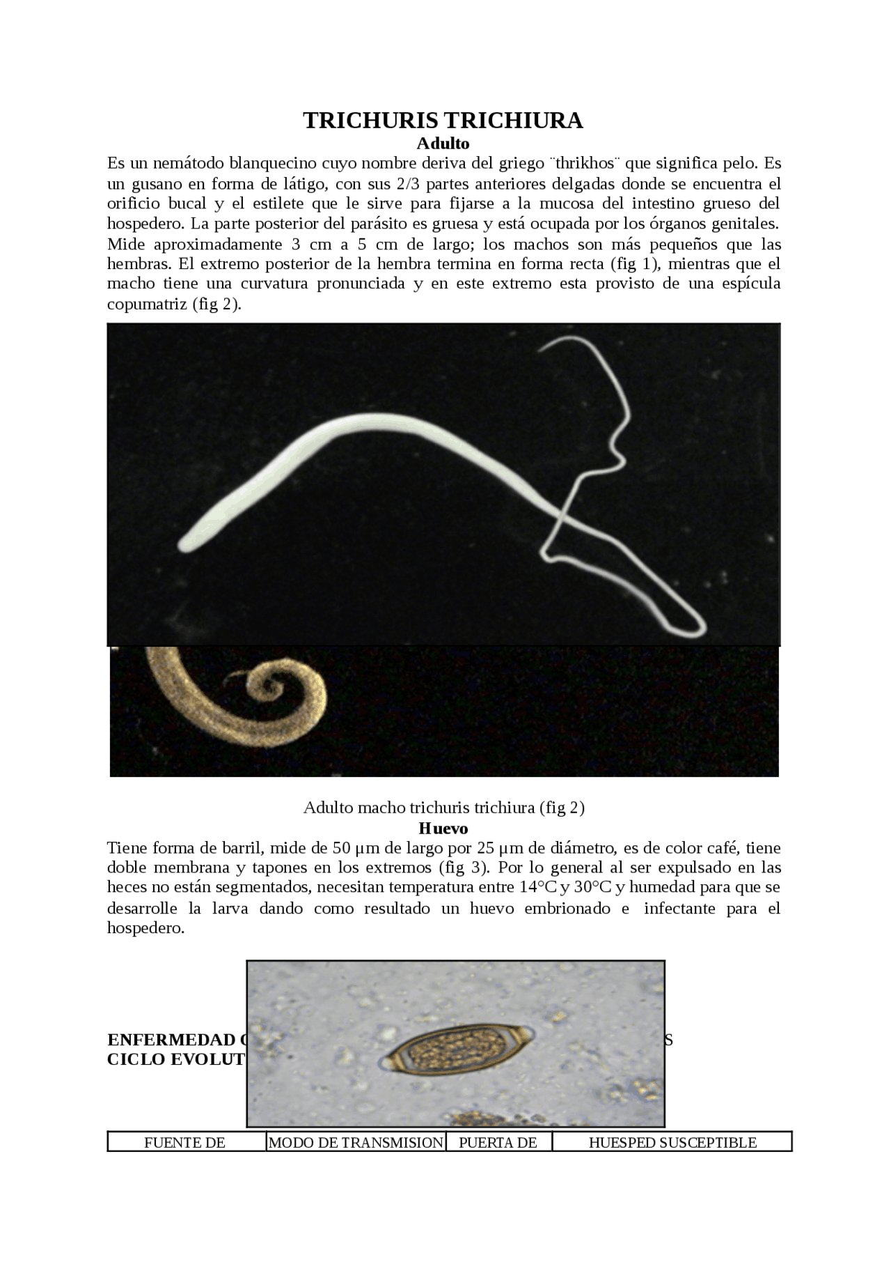ATLAS DE PARASITOLOGÍA | Resúmenes de Parasitología | Docsity