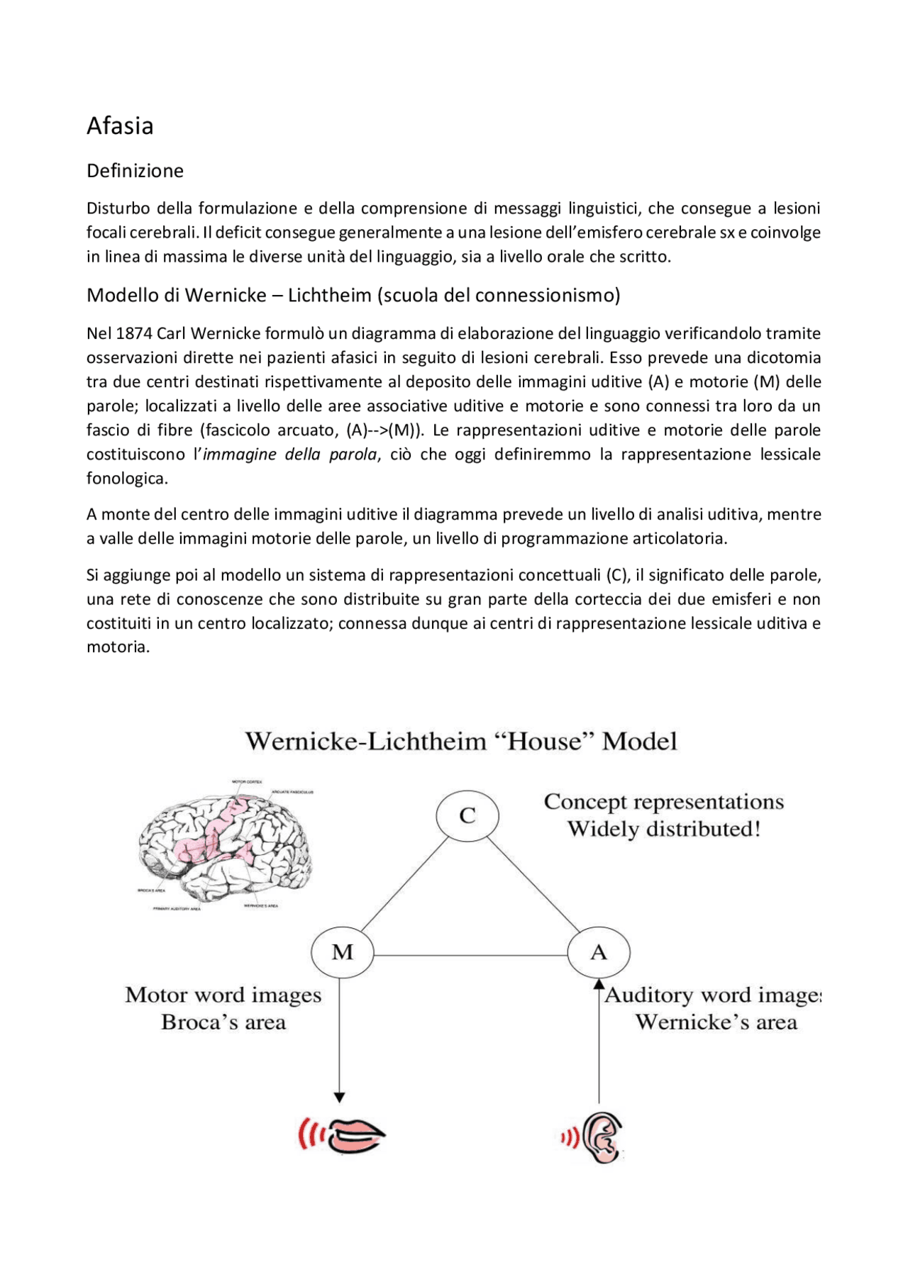 Manuale Neuropsicologia Docsity