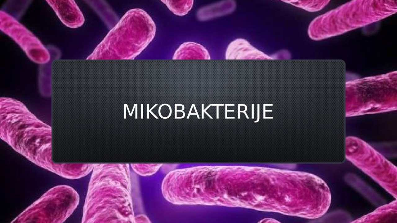 Mikobakterije Prezentacija Vodiči Projekti Istraživanja Predlog