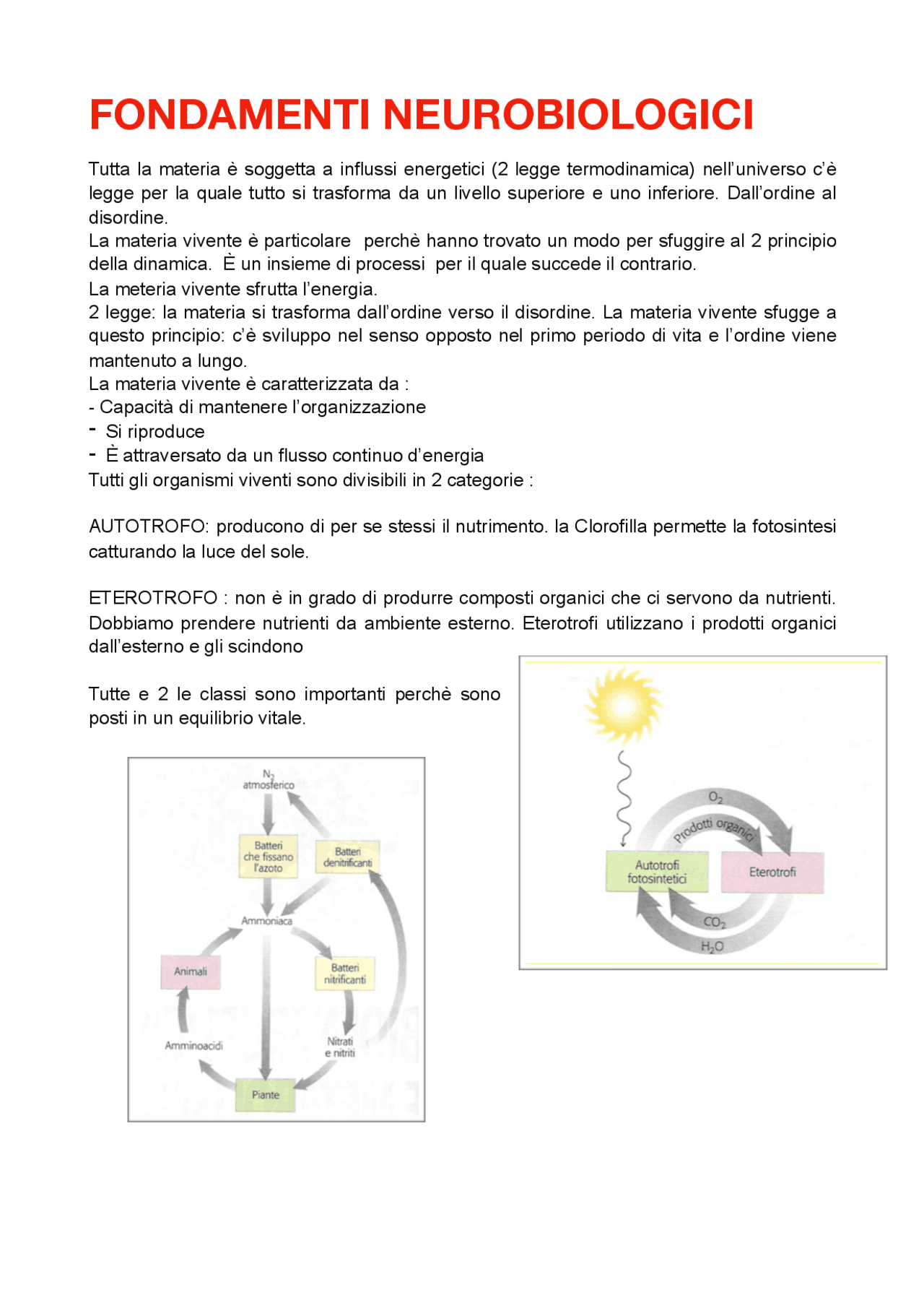 Fondamenti Introduzione Docsity