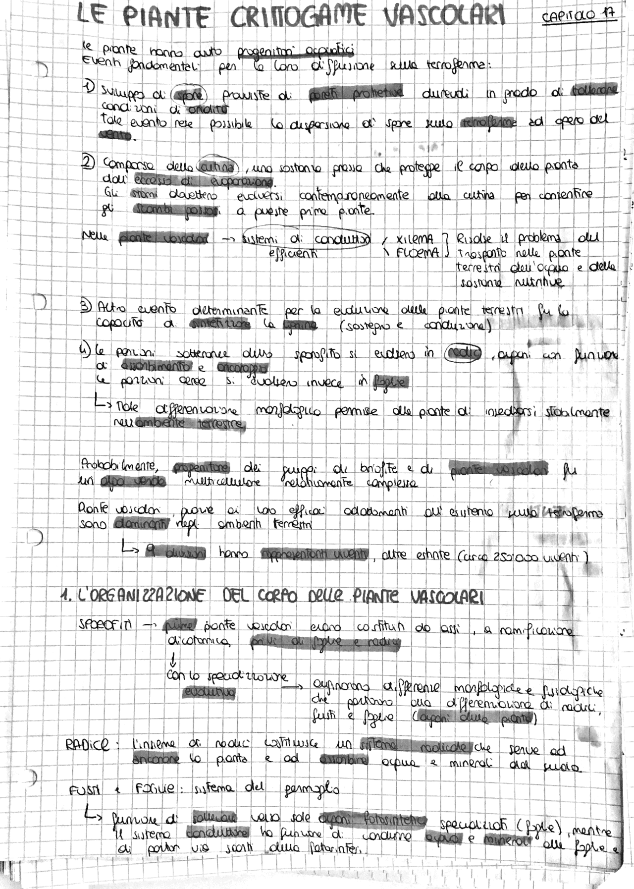 Appunti Biologia Vegetale Docsity