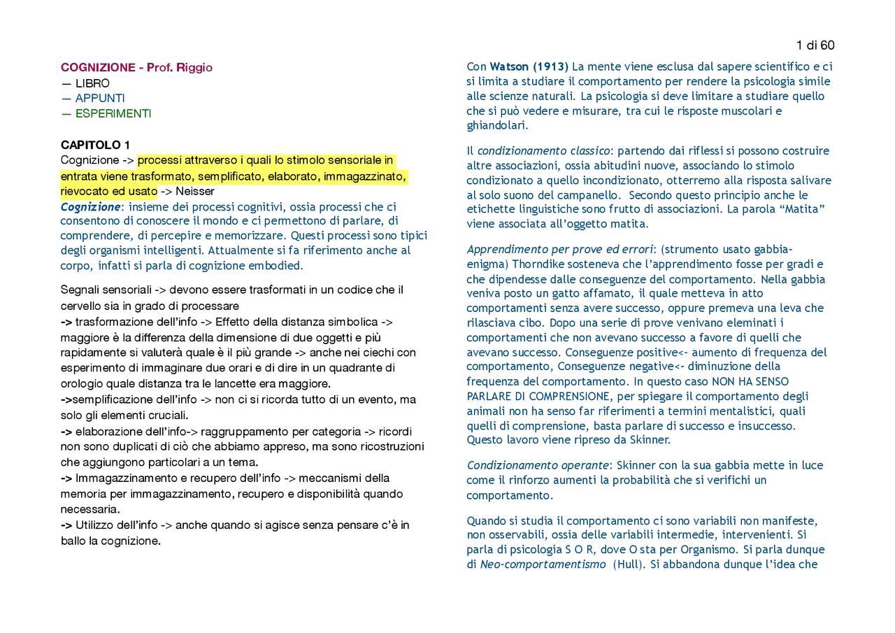 Esame Cognizione Schemi Ed Appunti Docsity