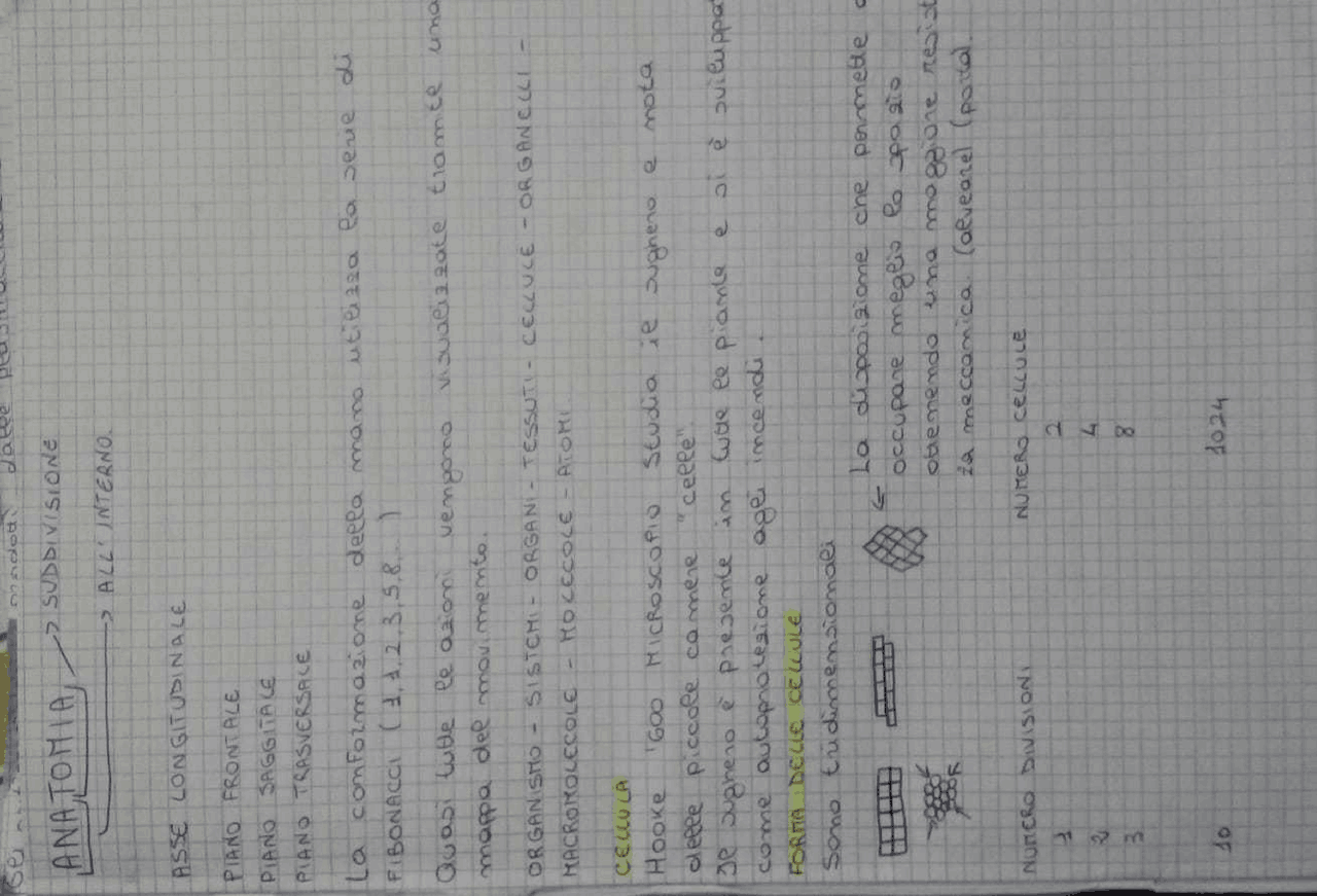 Appunti Anatomia Scienze Motorie Docsity
