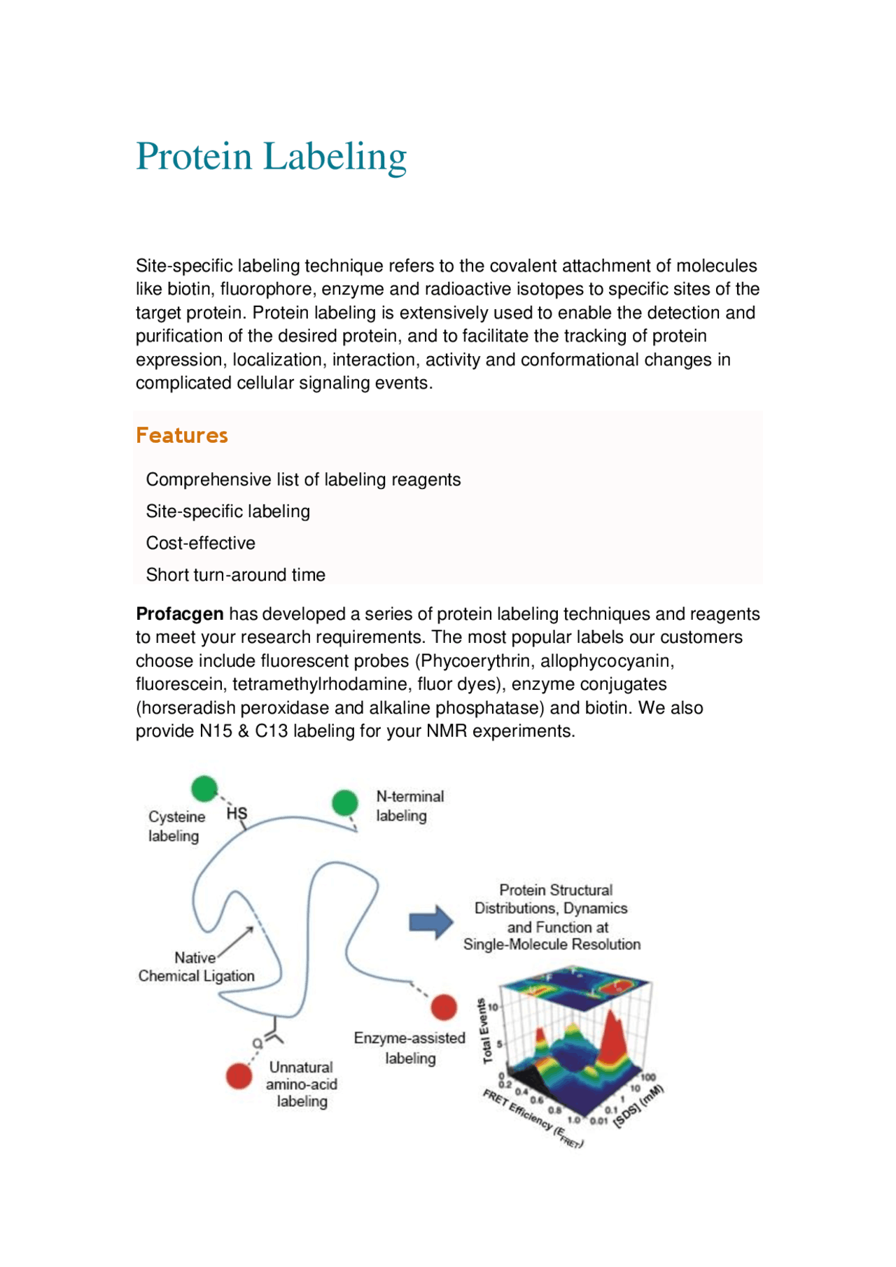 an introduction for protein labeling | Study Guides, Projects, Research ...