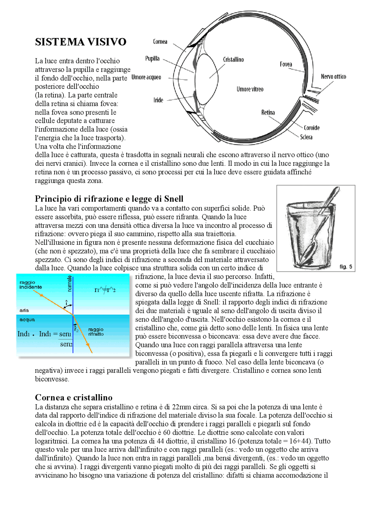 Sbobinature Secondo Modulo Di Fondamenti Prof Arrighi Corso A K