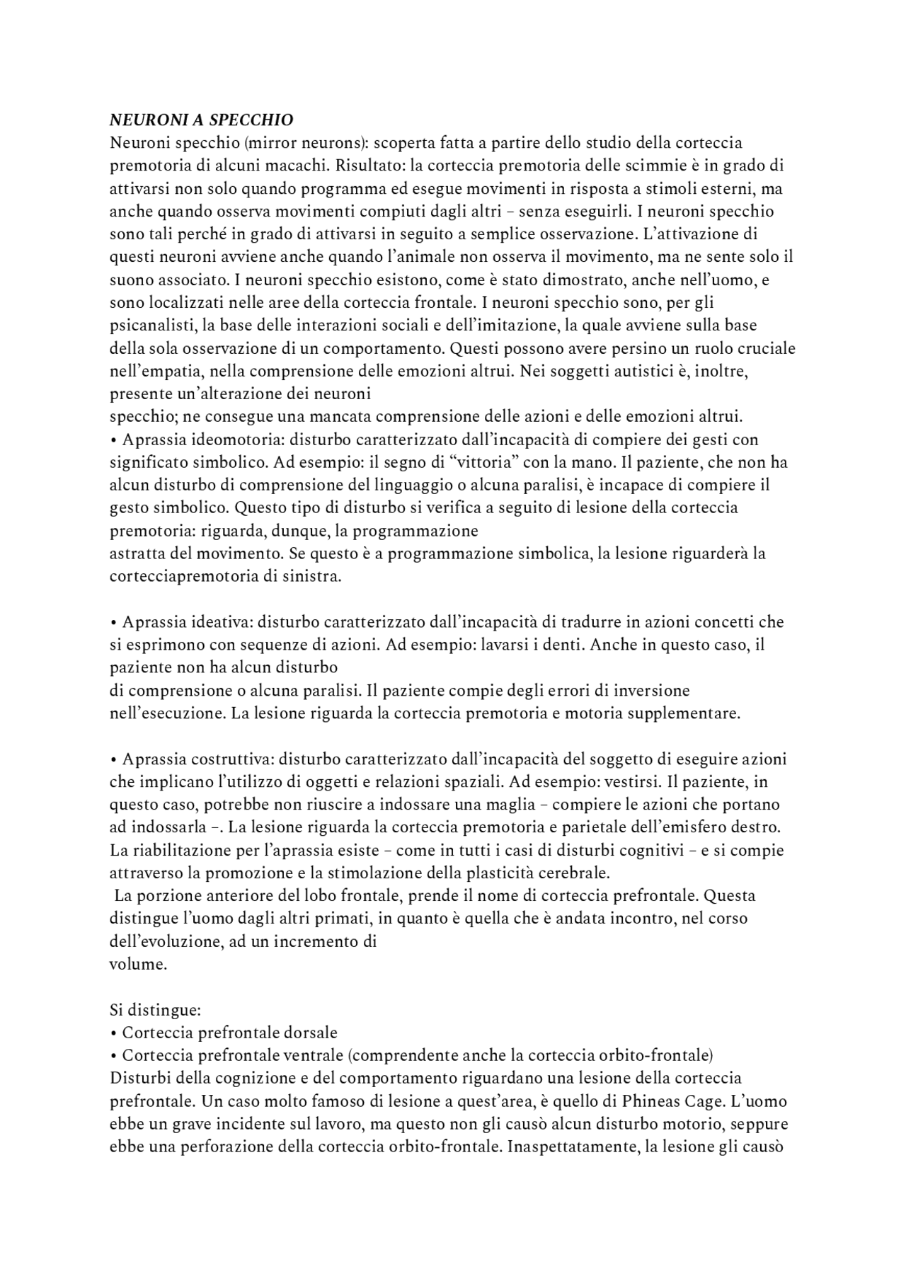 Neuroni A Specchio E Programmazione Motoria Docsity