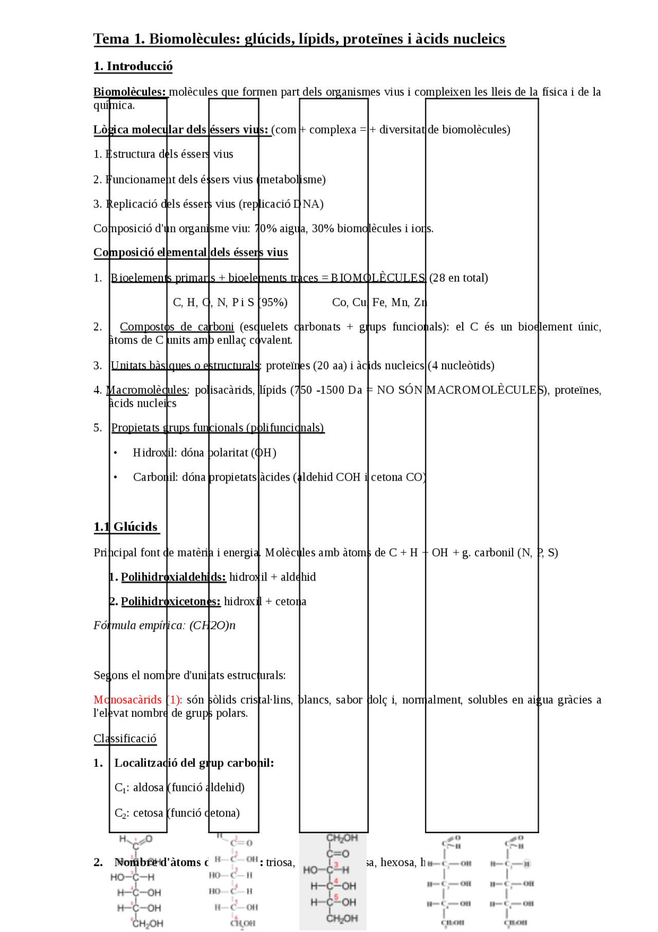 Tema 1 Biologia Fonamental Docsity