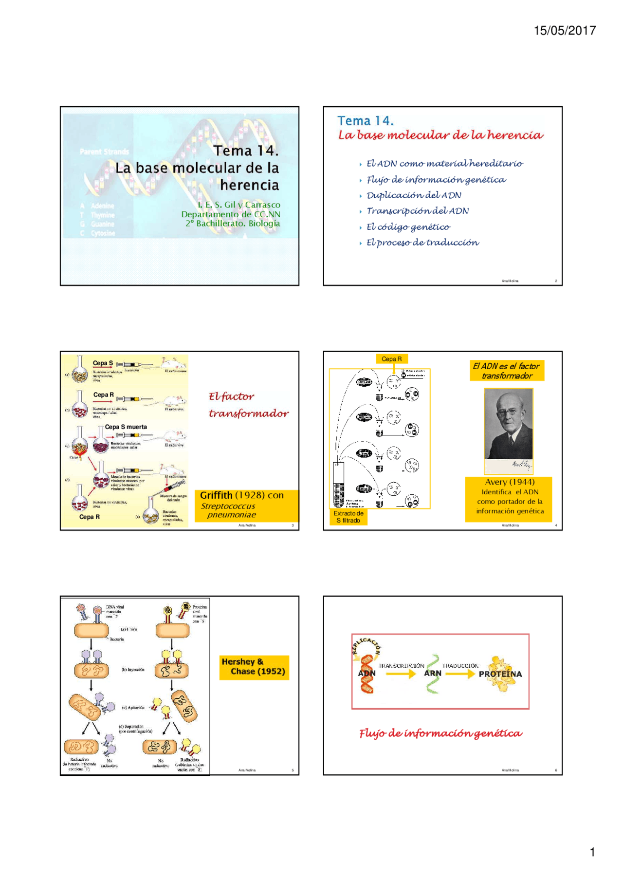 Apuntes Genética Molecular Docsity