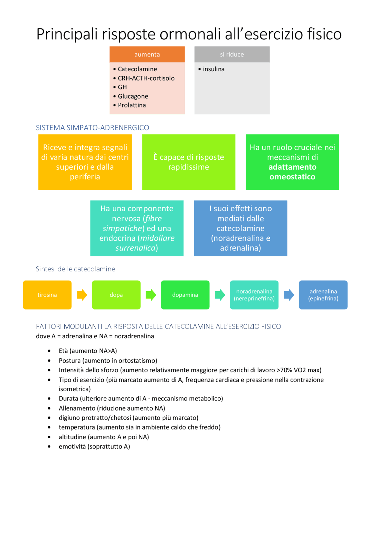 Endocrinologia Per Scienze Motorie Docsity