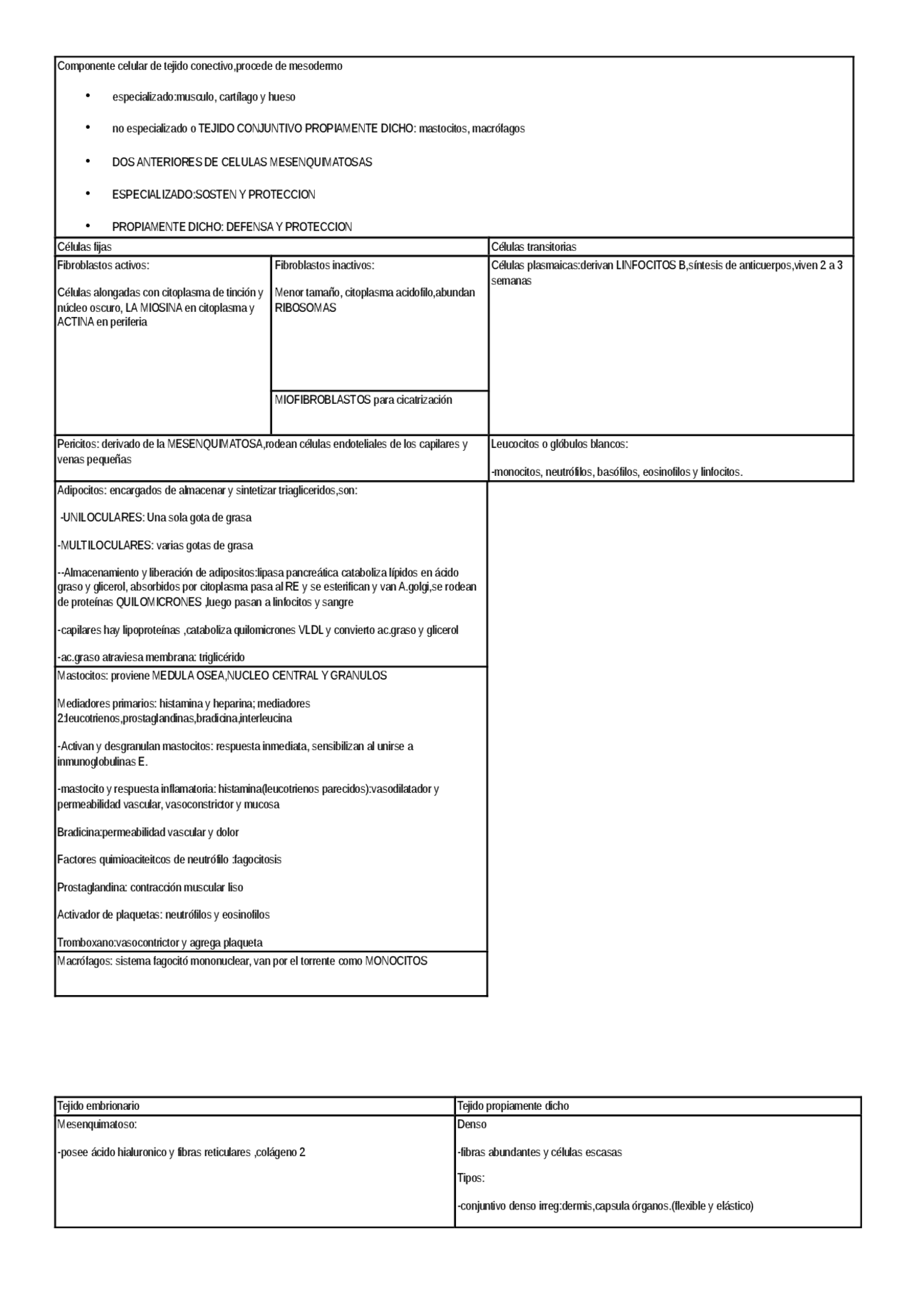 Resumen De Tejido Conectivo Docsity