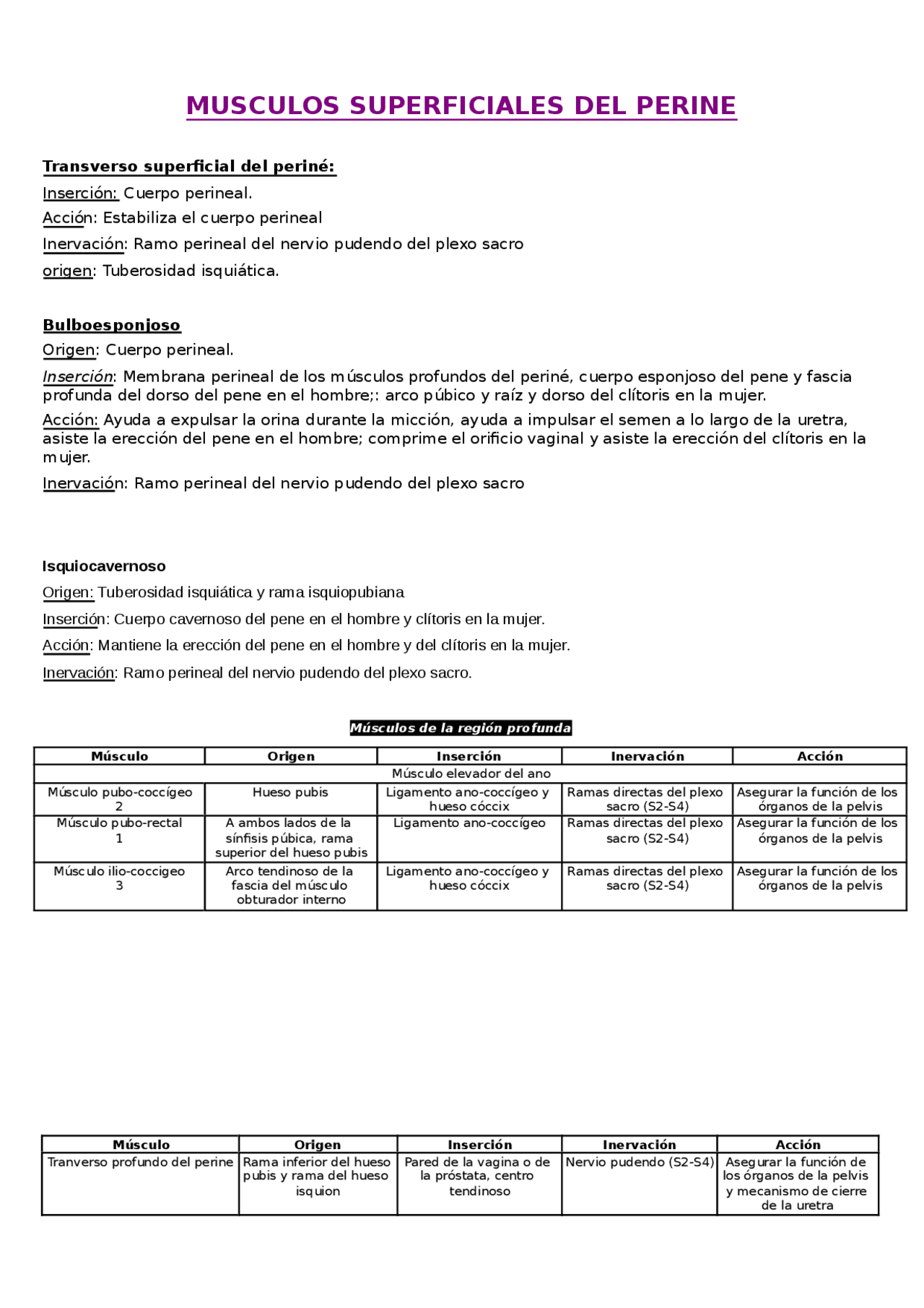 Musculos del perine t | Apuntes de Anatomía | Docsity