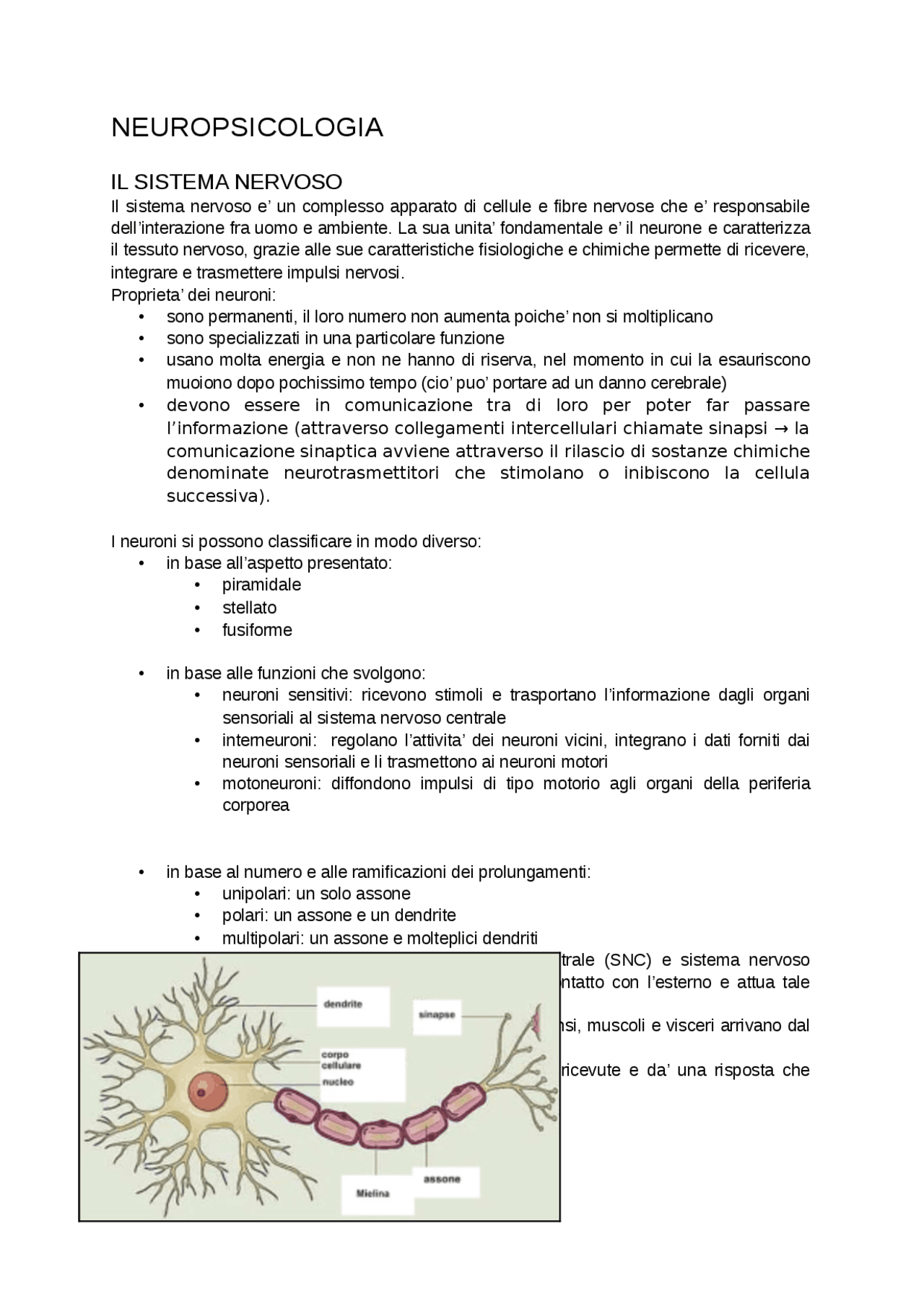 Neuropsicologia Scienze E Tecniche Psicologiche Ii Anno Unicatt Docsity