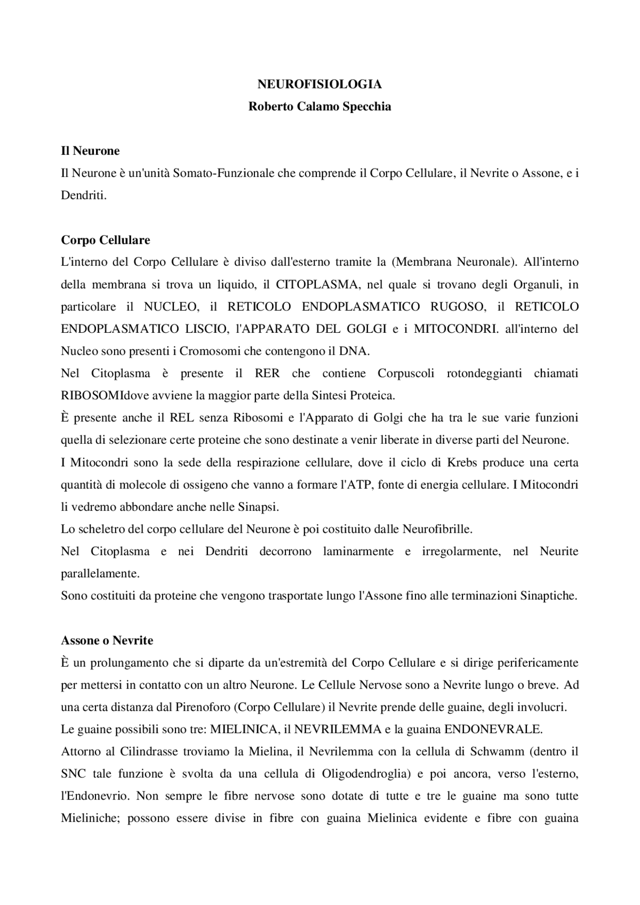 Fondamenti Di Neuroanatomia Docsity