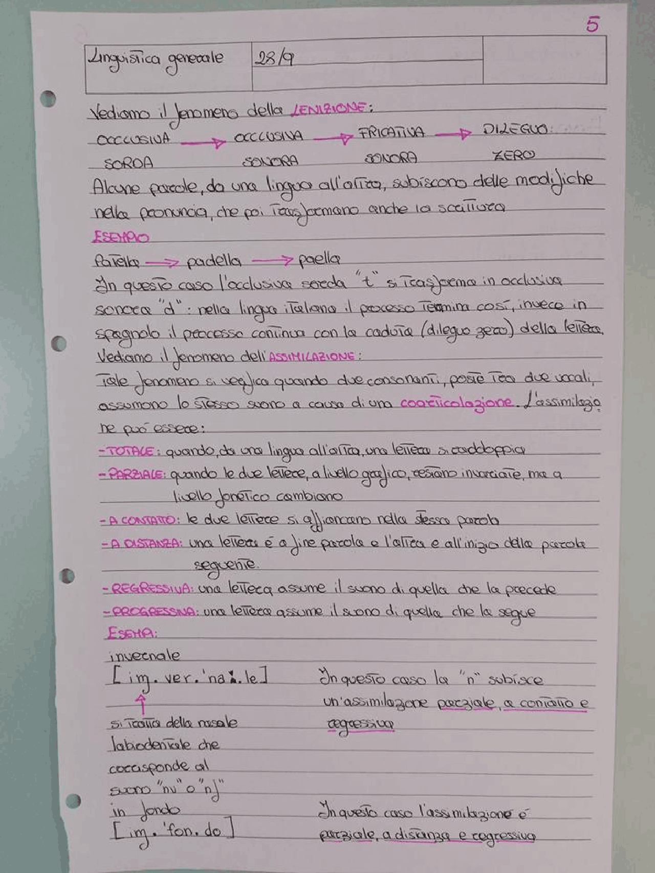 Riassunti Linguistica Generale Docsity