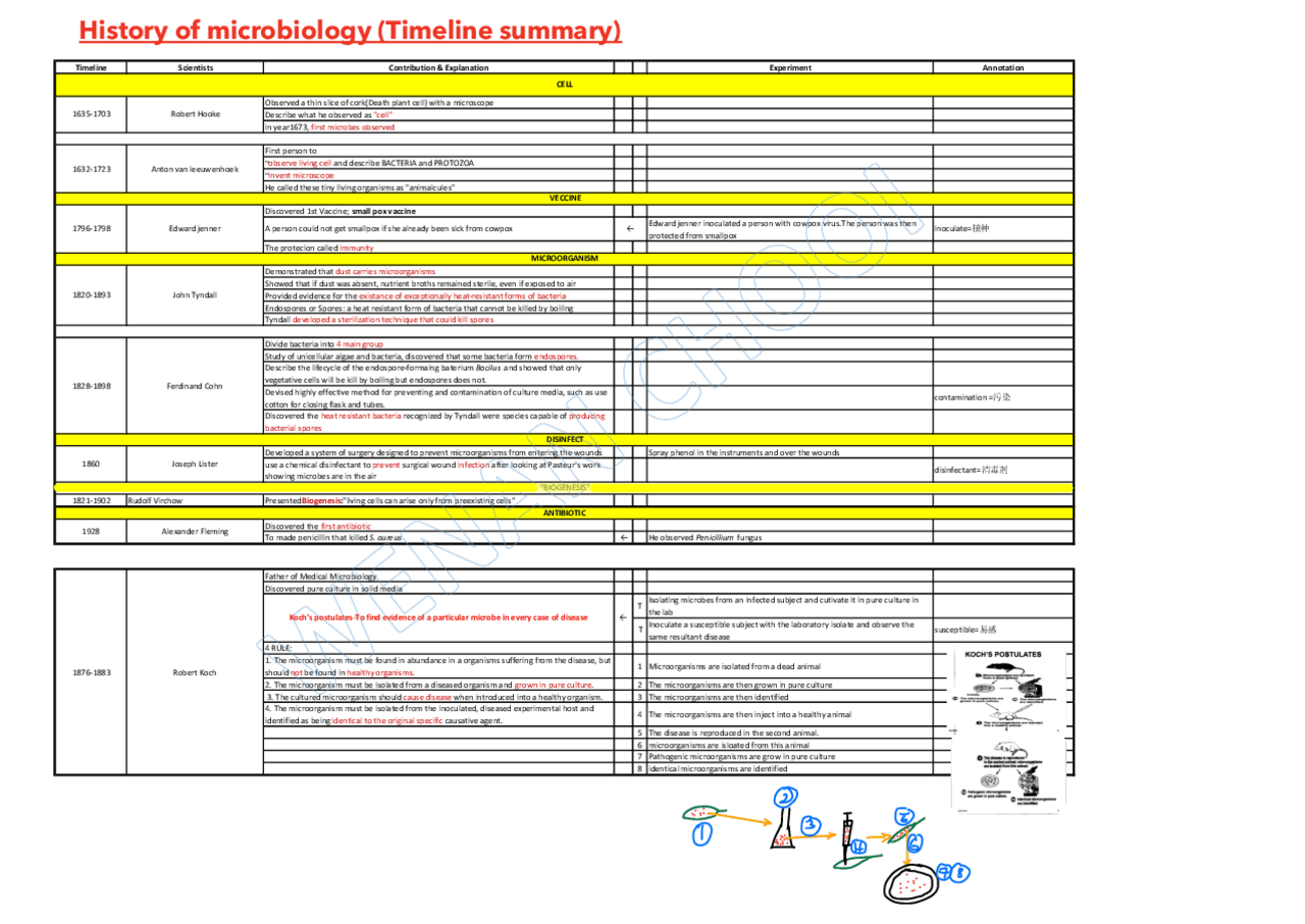 Microbiology summary timeline - Docsity