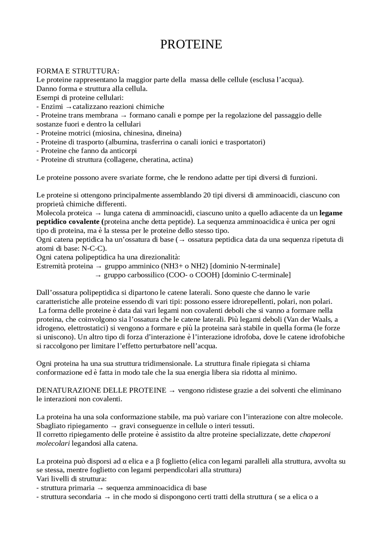 Nozioni Fondamentali Su Proteine Ed Enzimi Docsity