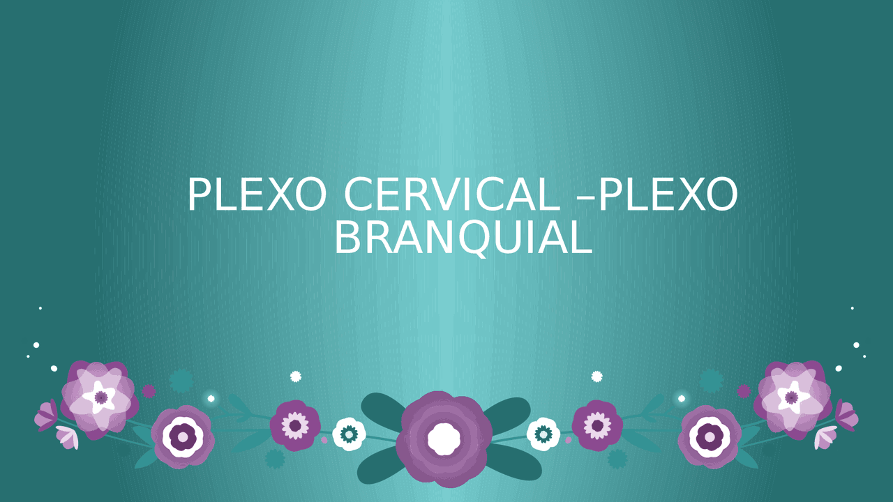 Plexo Cervical Y Branquial Diapositivas De Anatomía Docsity