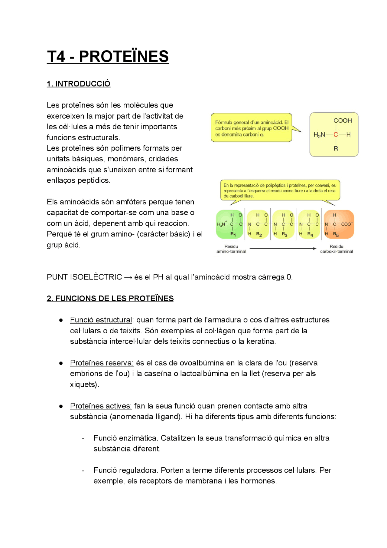 ProteÏnes 2n Batx Resum Docsity