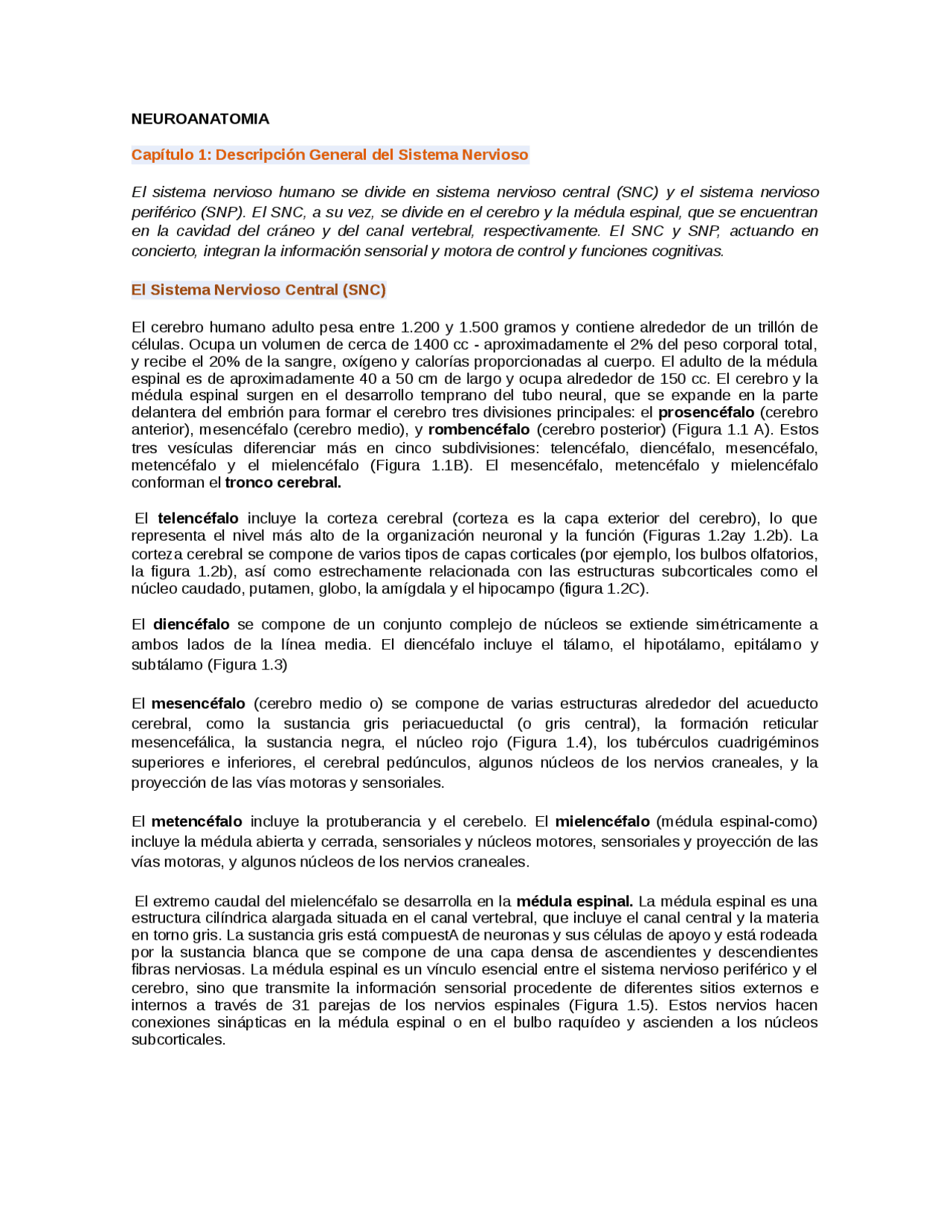 Apuntes De Neuroanatomía Apuntes De Anatomía Docsity