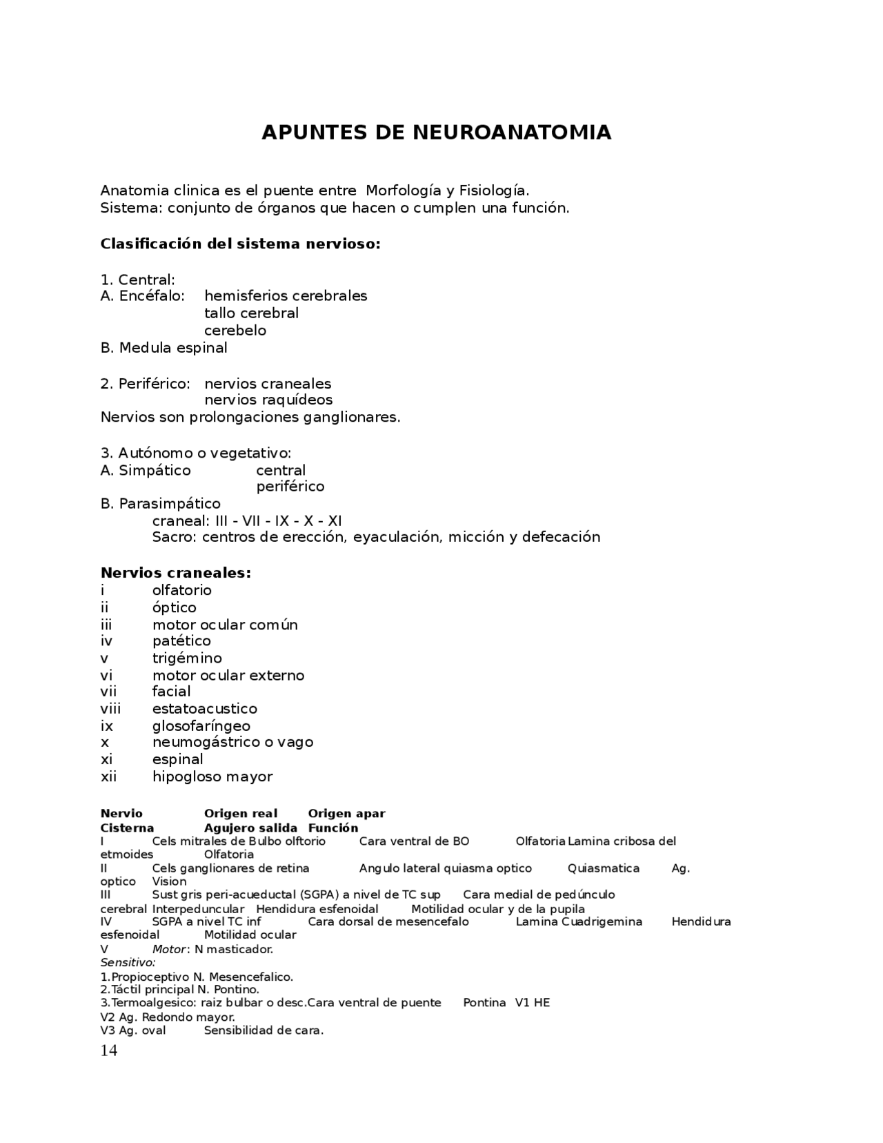 Apuntes De Neuroanatomia Docsity