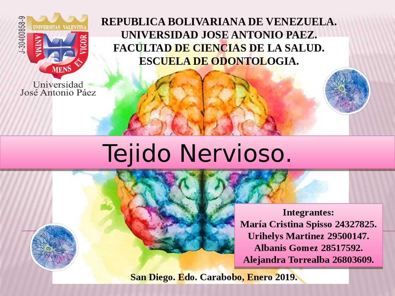 Tejido Nervioso Histologia Explicacion Facil Docsity