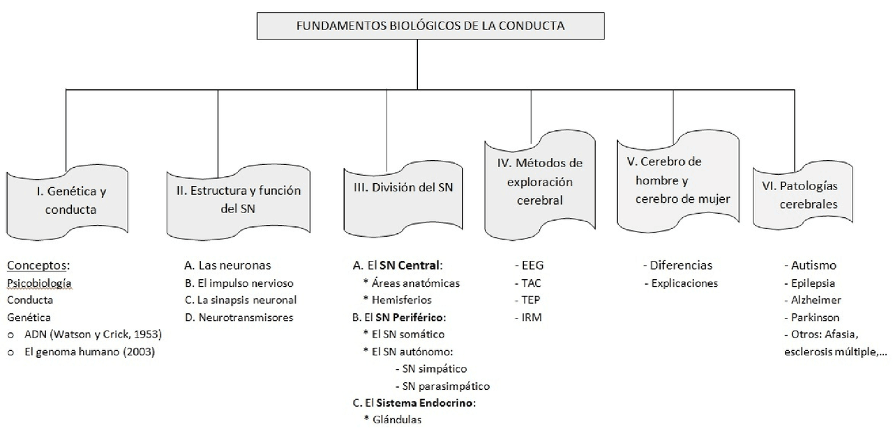 Mapa fundamentos biologicos - Docsity
