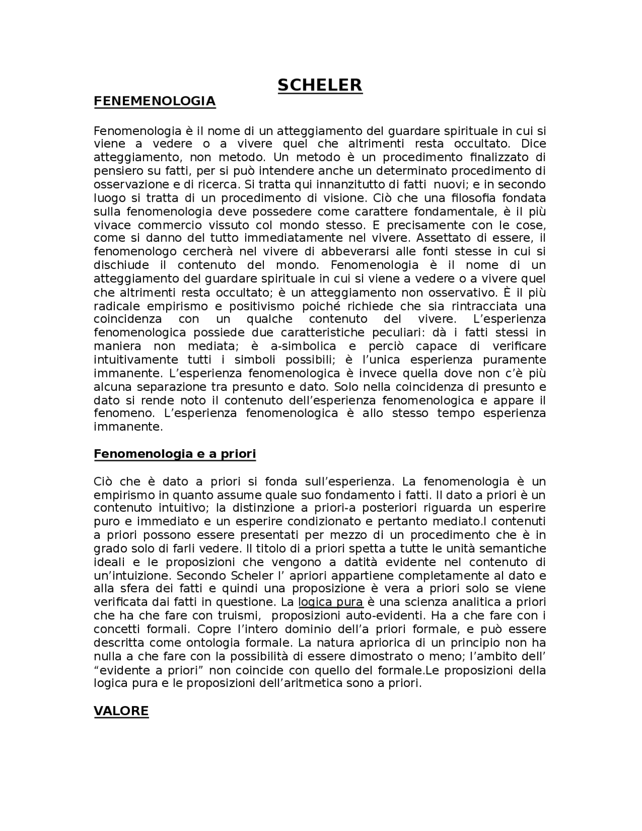 Sheler,il filosofo che rompe gli schemi - Docsity