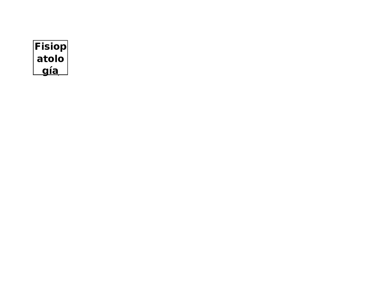 Síndrome De Dificultad Respiratoria Docsity