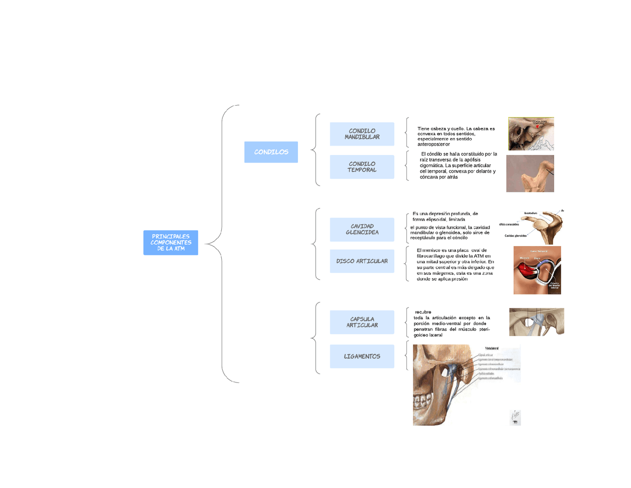 Cuadro componentes atm - Docsity