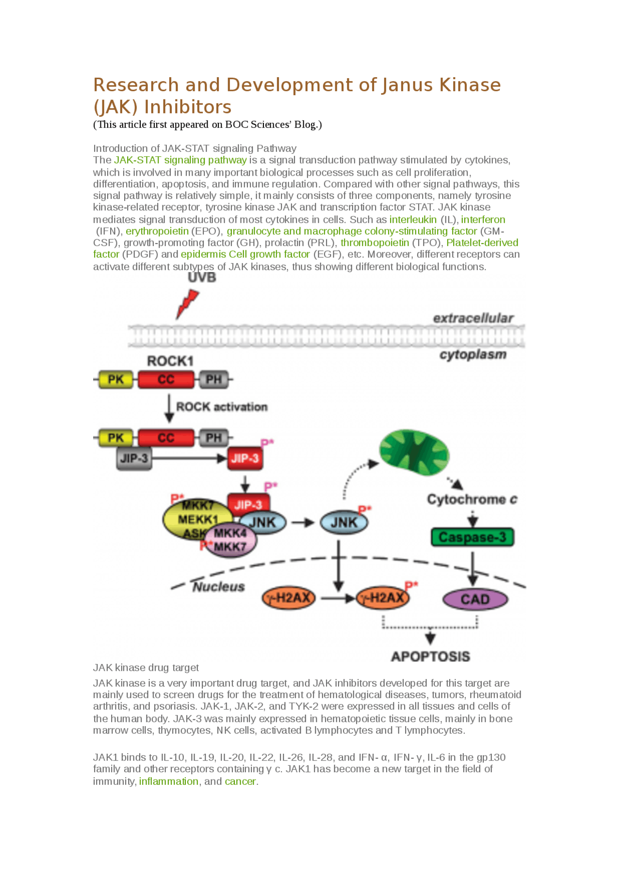 Research and Development of Janus Kinase (JAK) Inhibitors - Docsity