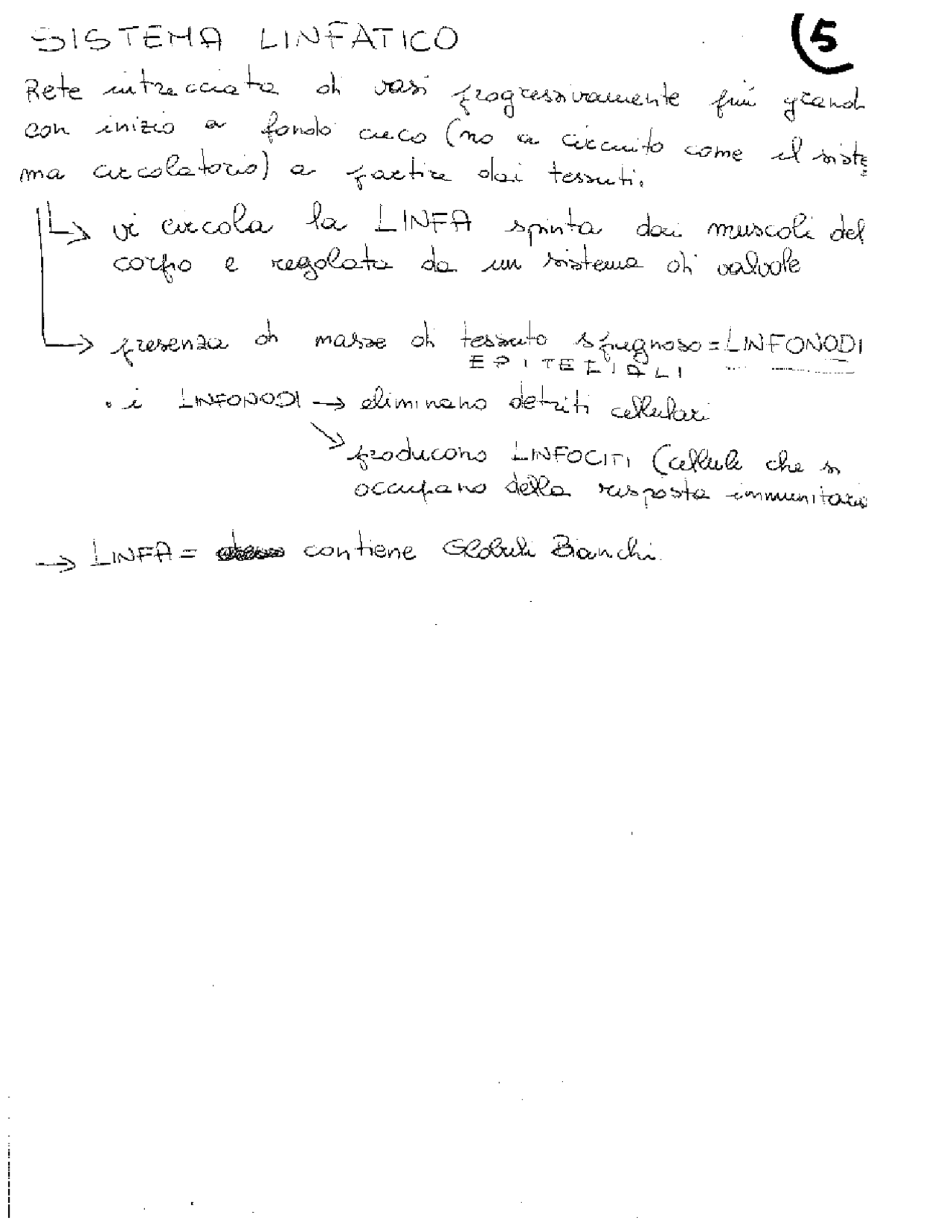 Sistema Linfatico Ed Immunitario Docsity