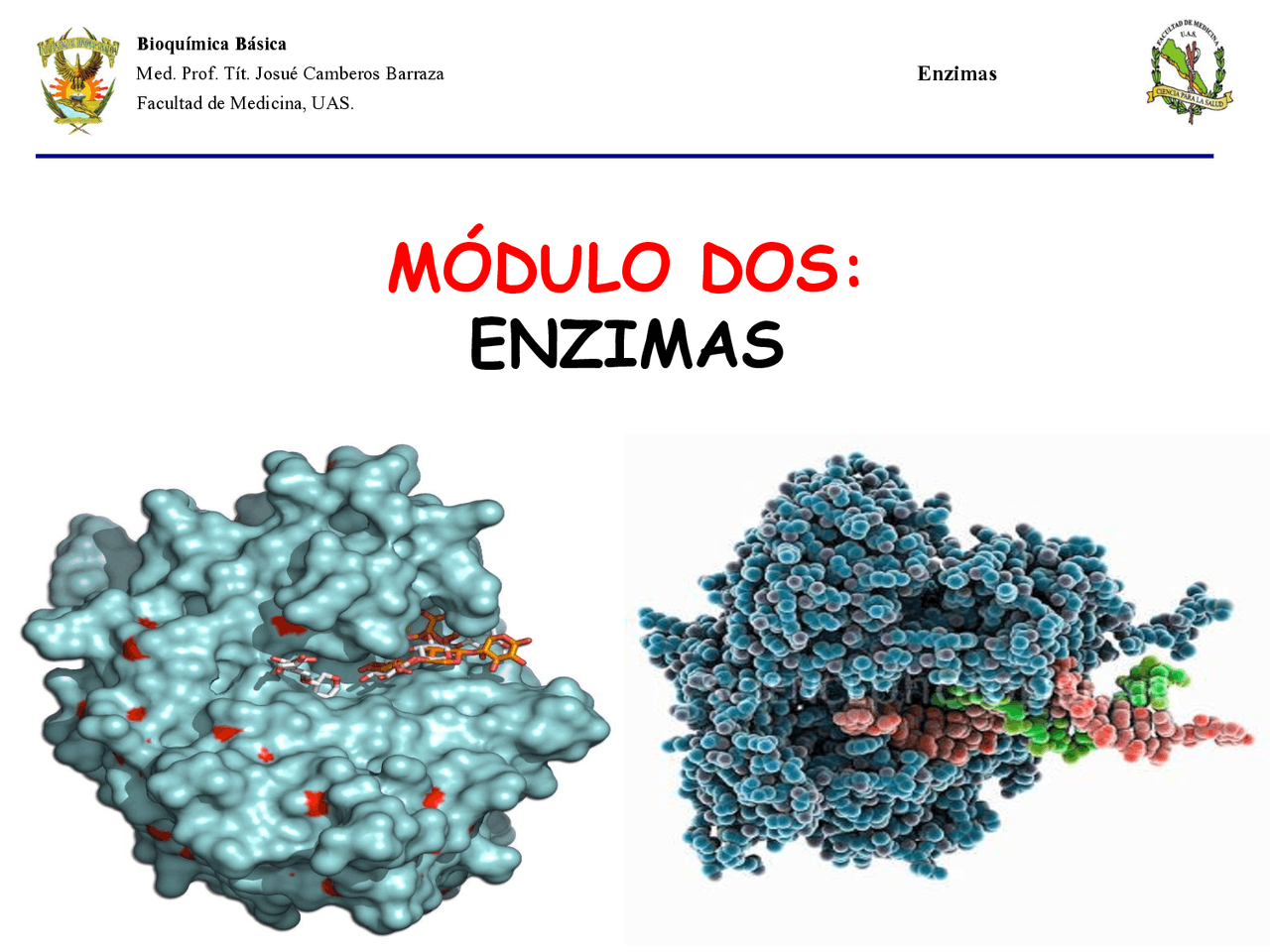 Diapositivas Enzimas Docsity