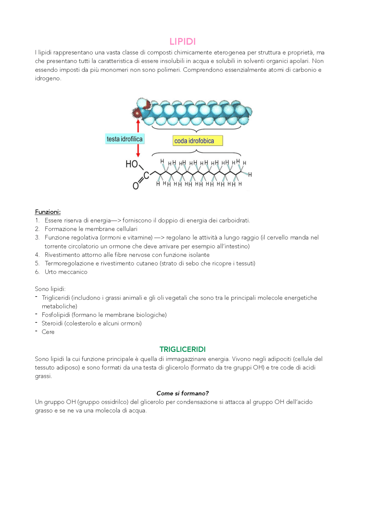 Tutto Sulle Biomolecole Docsity
