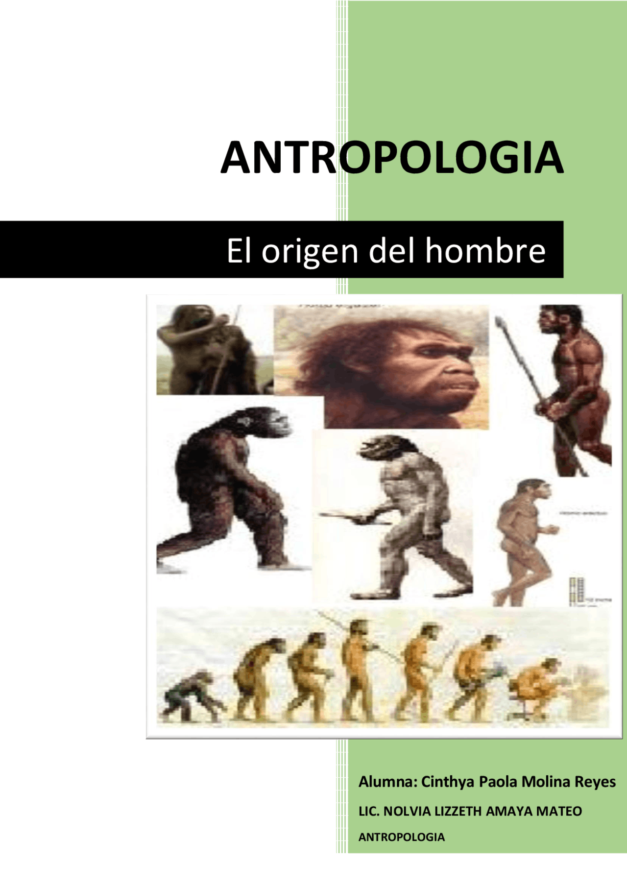 El Origen Del Hombre Resúmenes De Antropología Docsity