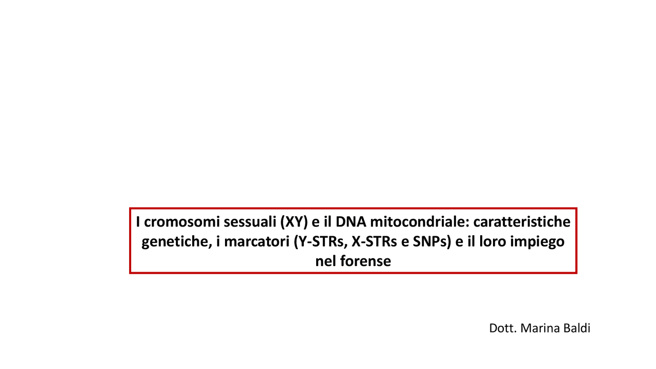 Dna E Cromosomi Sessuali Docsity