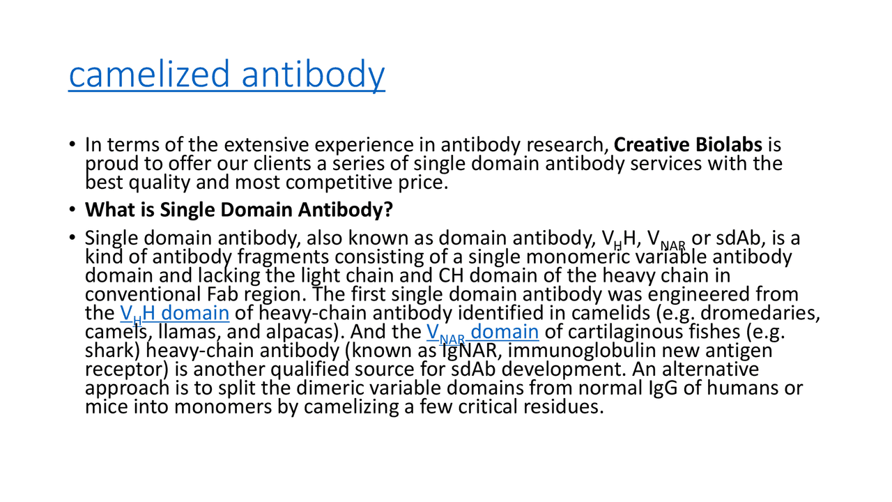 Camelized antibody from Creative Biolabs - Docsity