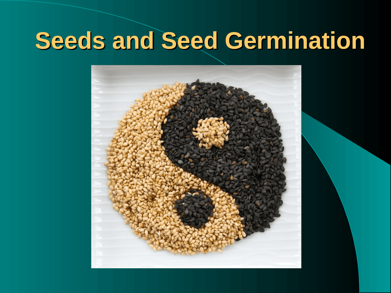 Seeds And Fruits Classification Docsity