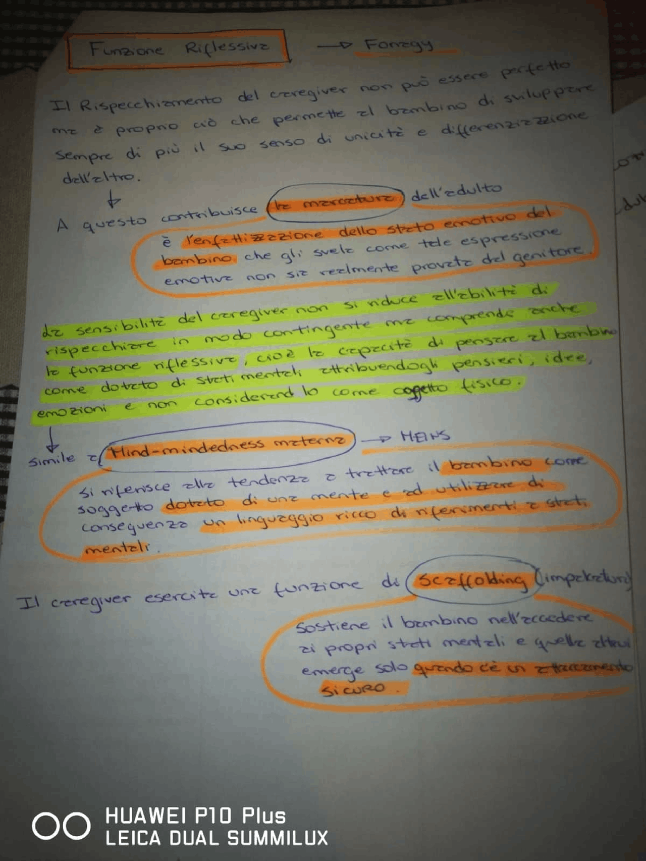 Funzione Riflessiva Fonagy Appunti Di Psicologia Infantile Docsity